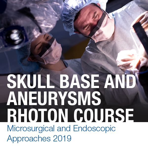 Skull Base and Aneurysms Rhoton Course: Microsurgical and Endoscopic ...
